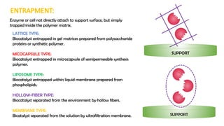 ENZYME IMMOBILIZATION: DEFINATION, METHOD, APPLICATION ADVANTAGES AND ...