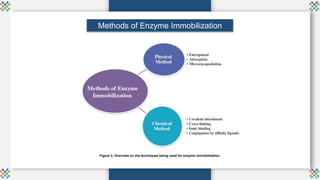 Enzyme immobilization | PPTX
