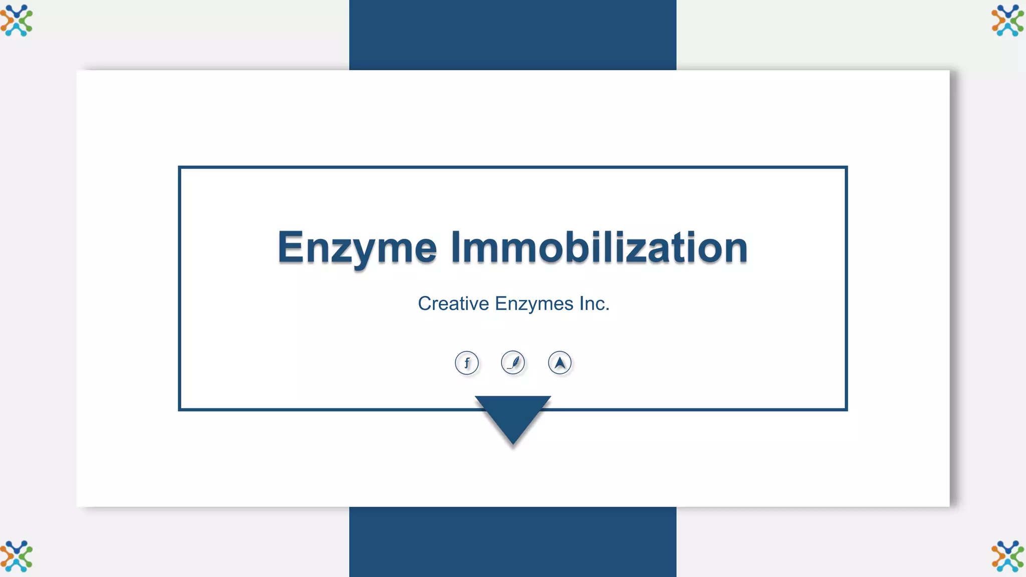 Enzyme immobilization | PDF