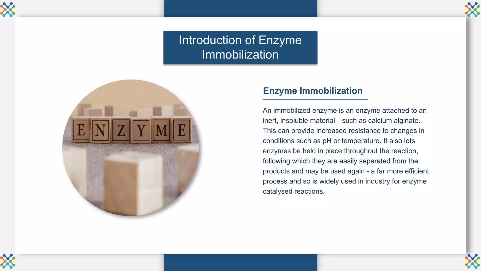 Enzyme immobilization | PDF