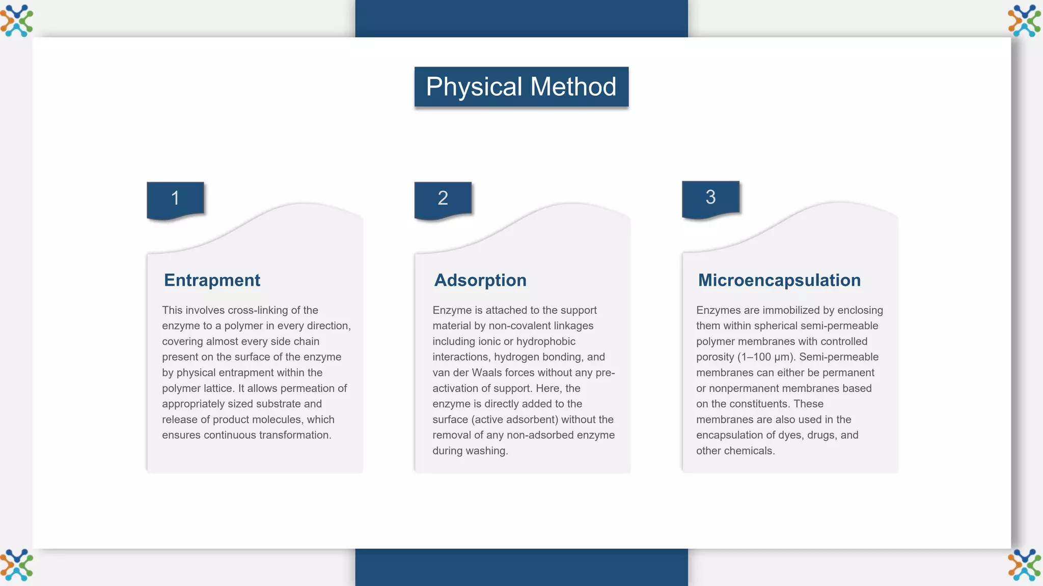 Enzyme immobilization | PDF