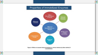 Enzyme immobilization | PDF