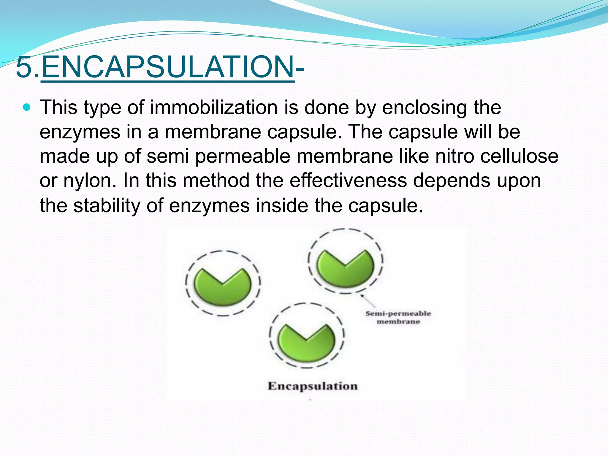 enzyme immobilization | PDF