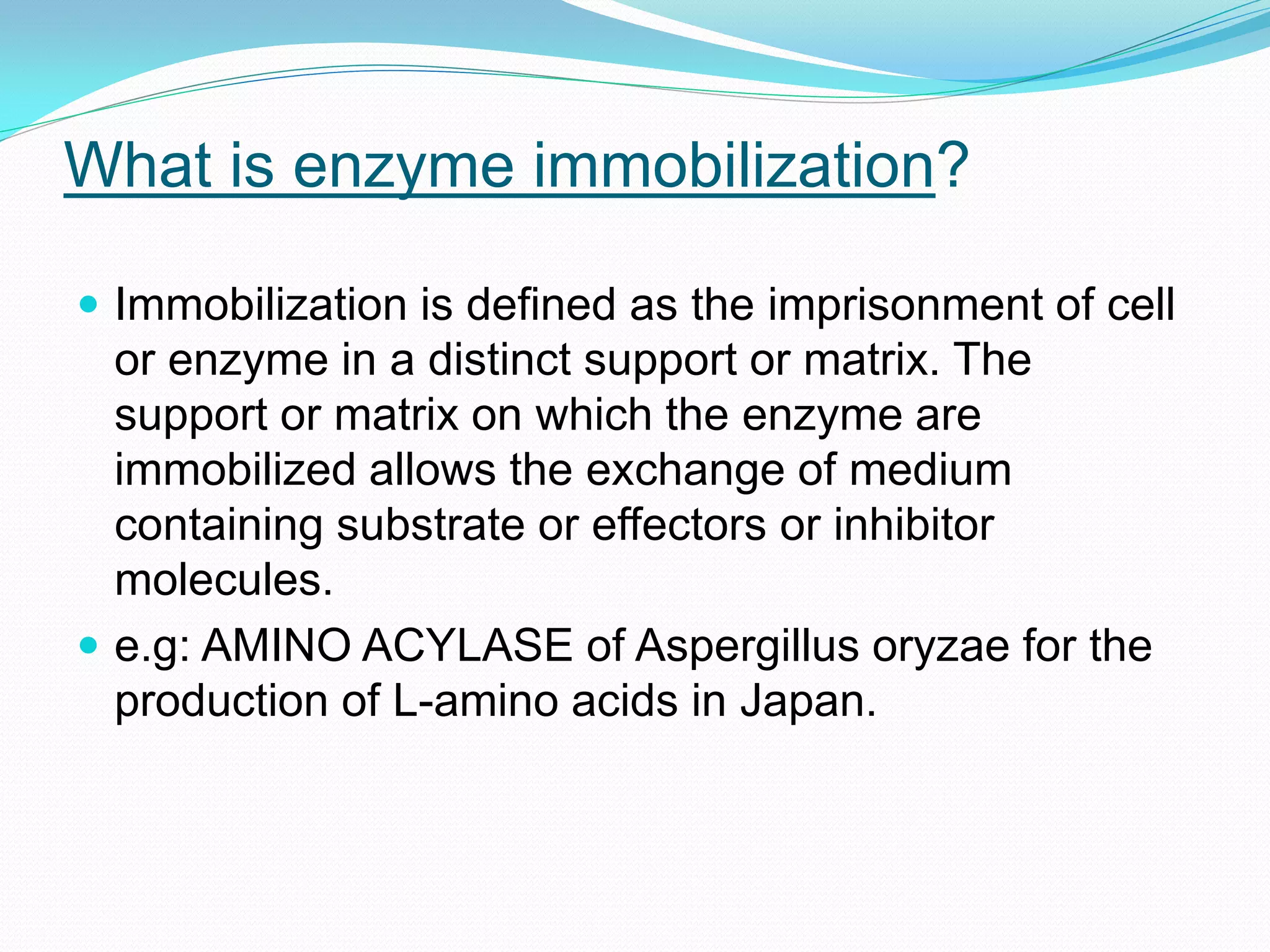 enzyme immobilization | PDF