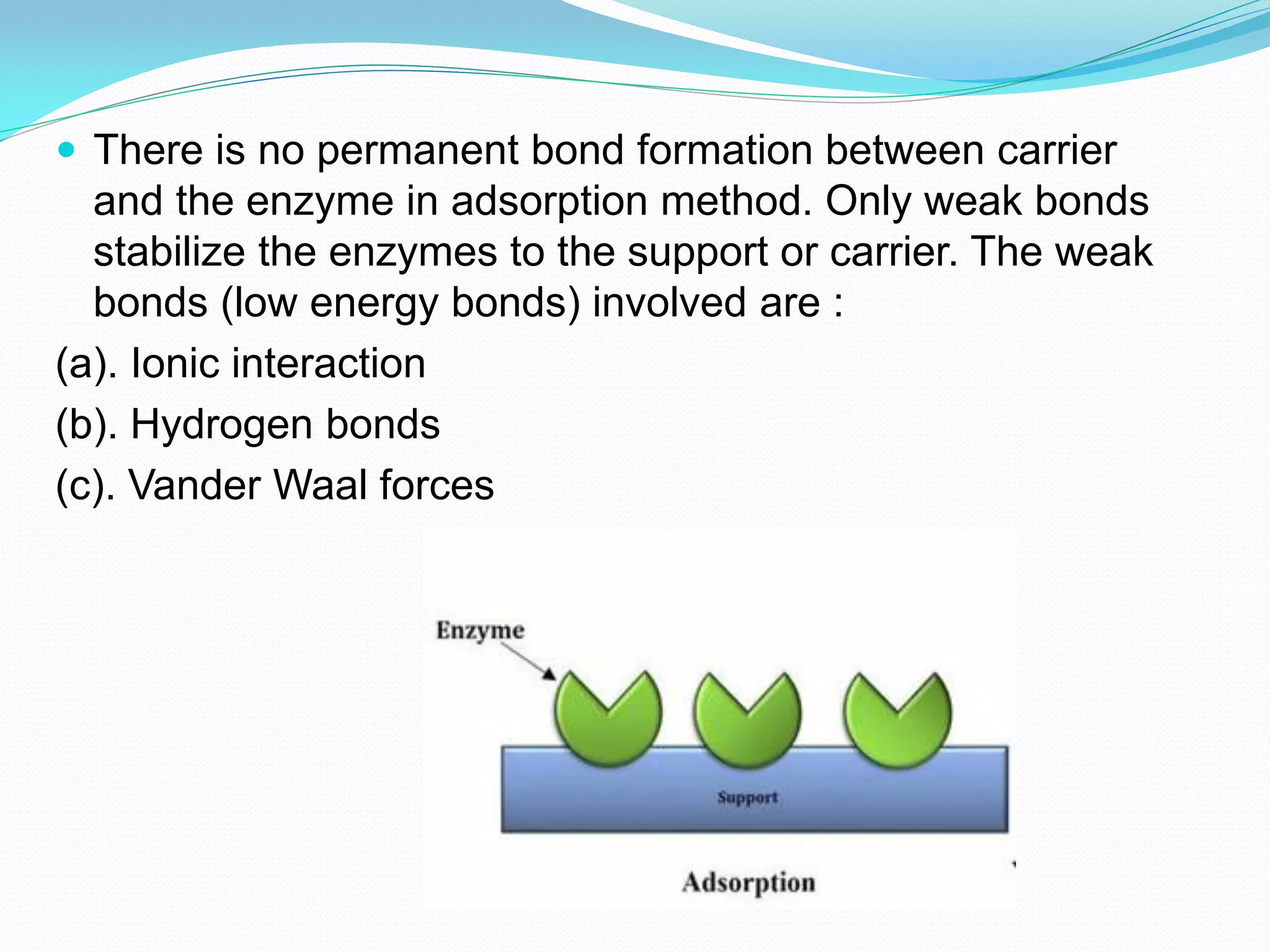 enzyme immobilization | PDF