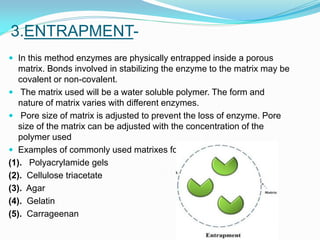 enzyme immobilization | PDF