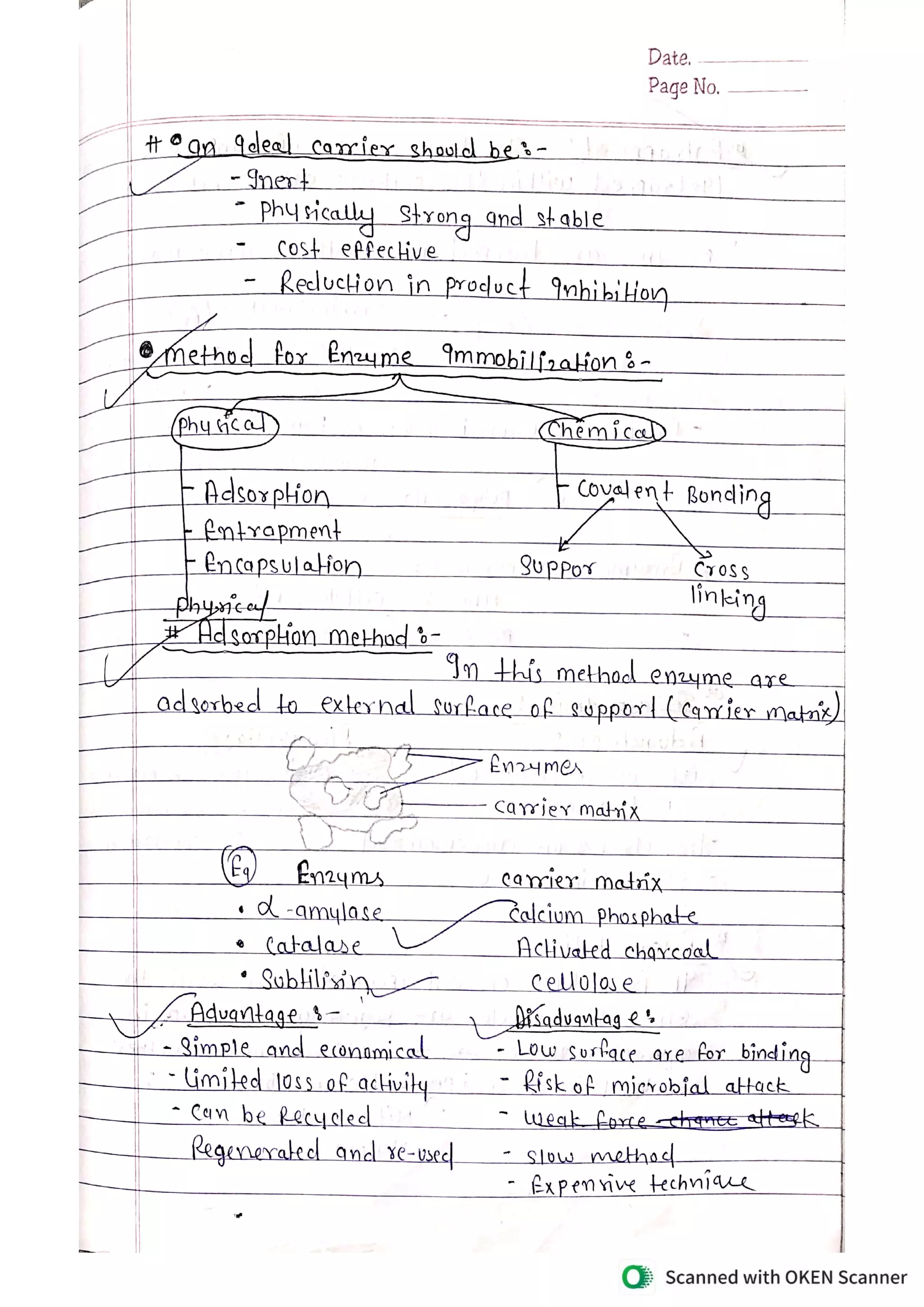 enzyme immobilization biotechnology 6th semester handwriting notes.pdf