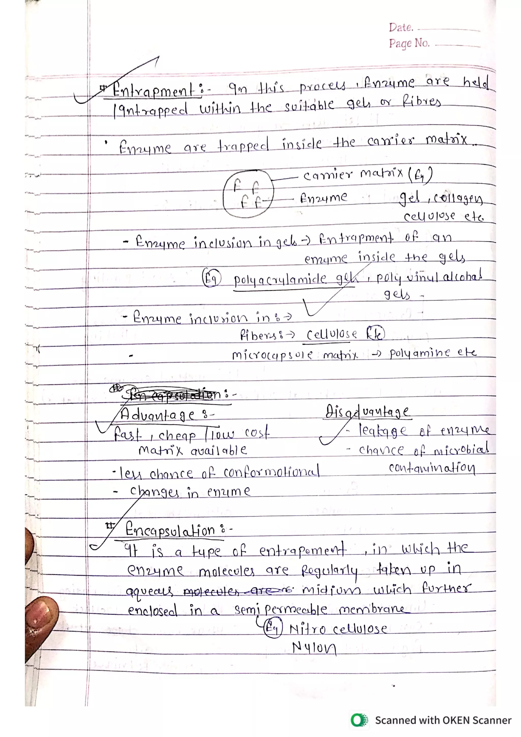 enzyme immobilization biotechnology 6th semester handwriting notes.pdf