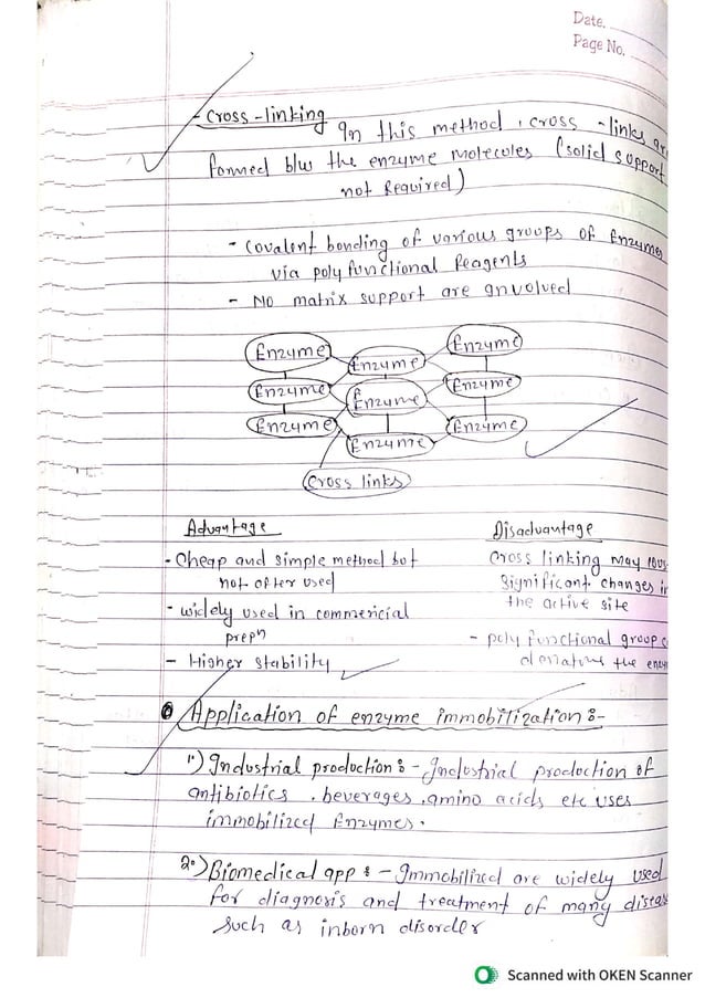 enzyme immobilization biotechnology 6th semester handwriting notes.pdf