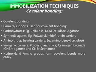 ENZYME IMMOBILIZATION BP 605T BIOTECH.pptx