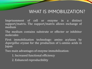 ENZYME IMMOBILIZATION BP 605T BIOTECH.pptx