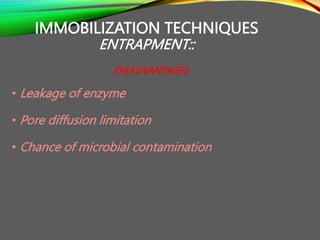 ENZYME IMMOBILIZATION BP 605T BIOTECH.pptx