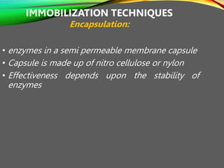 ENZYME IMMOBILIZATION BP 605T BIOTECH.pptx