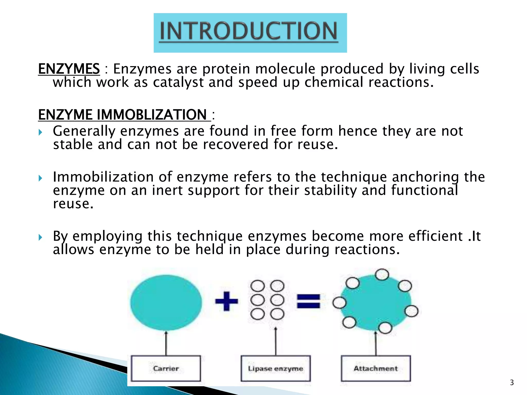 Enzyme immobilization sc | PPTX