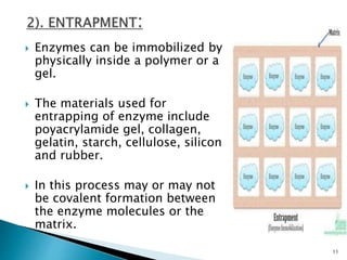 Enzyme immobilization sc | PPTX
