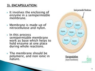 Enzyme immobilization sc | PPTX