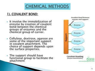 Enzyme immobilization sc | PPTX