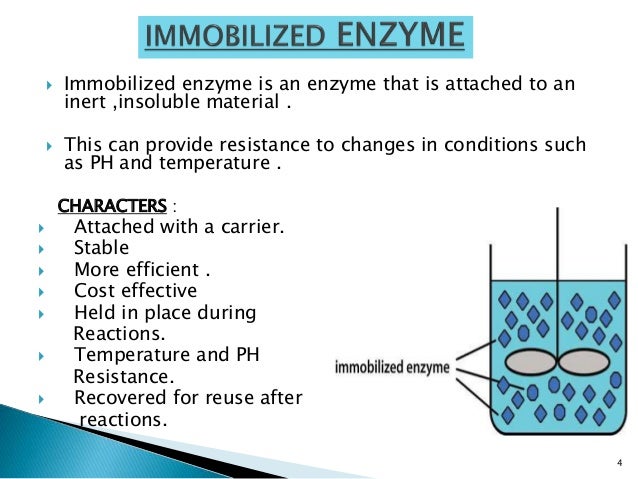 Enzyme immobilization sc