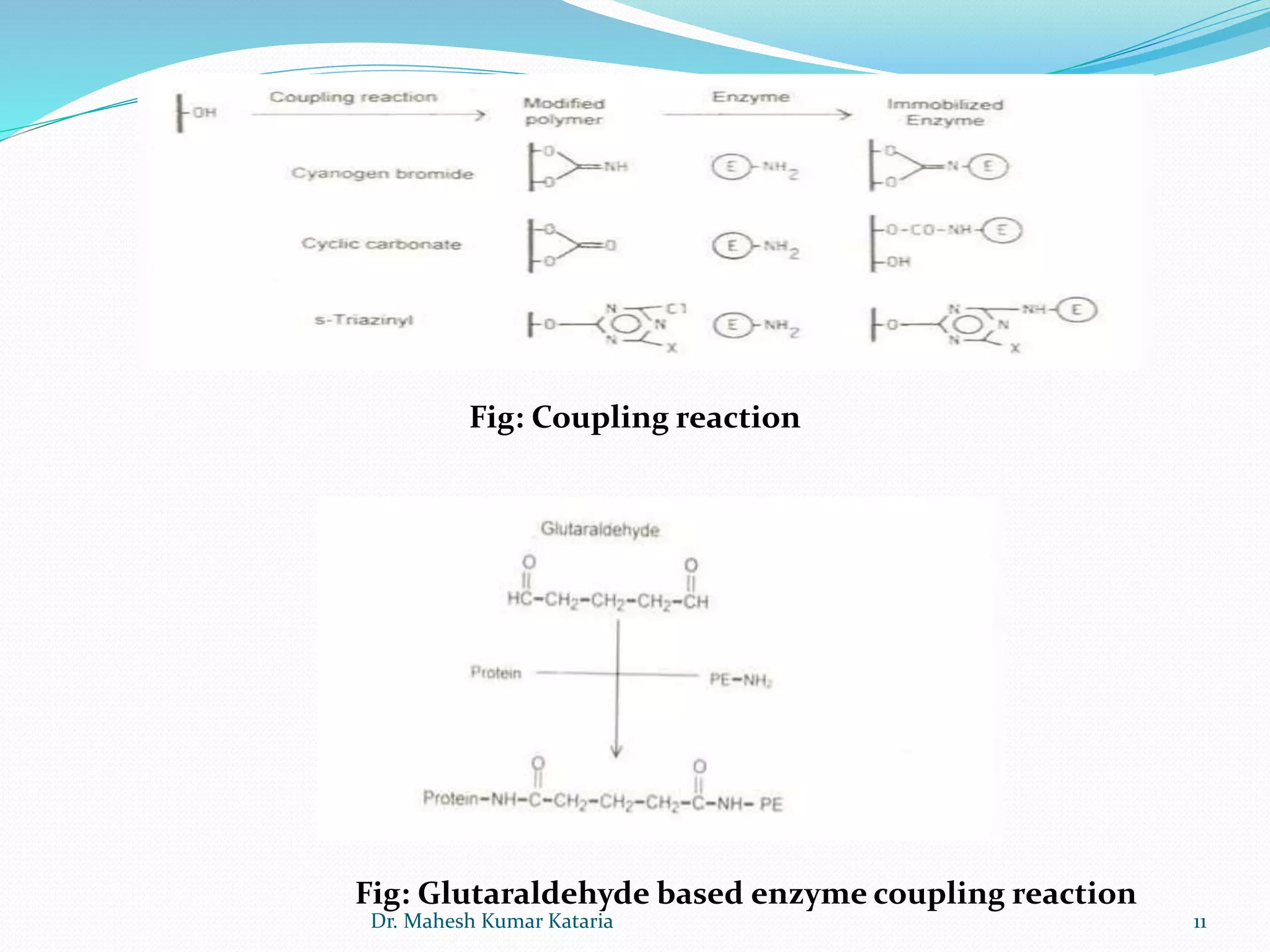 Enzyme immobilization and applications | PPT