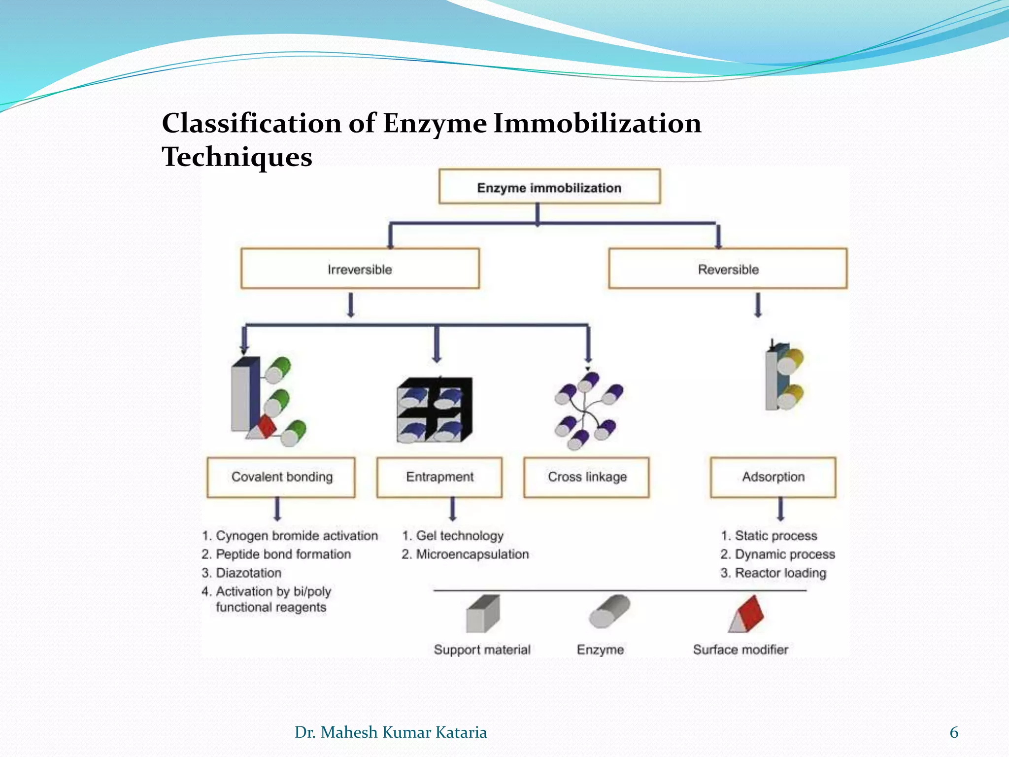 Enzyme immobilization and applications | PPT