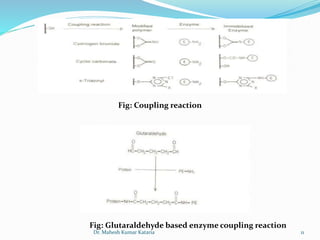 Enzyme immobilization and applications | PPT