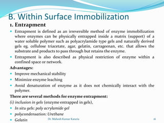 Enzyme immobilization and applications | PPT