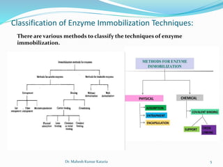 Enzyme immobilization and applications | PPT