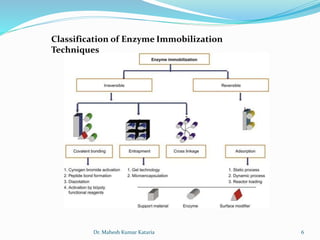 Enzyme immobilization and applications | PPT