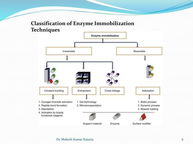 Enzyme immobilization and applications | PPT
