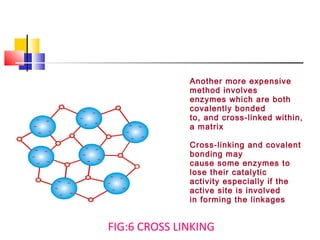 Enzyme immoblization | PPT