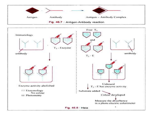 Enzyme immuno assay and radioimmunoassay | PPTX