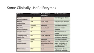 Enzyme in clinical diagnosis in biochemistry.pptx