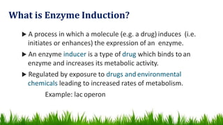 Enzyme induction and repression | PPTX | Endocrine and Metabolic ...