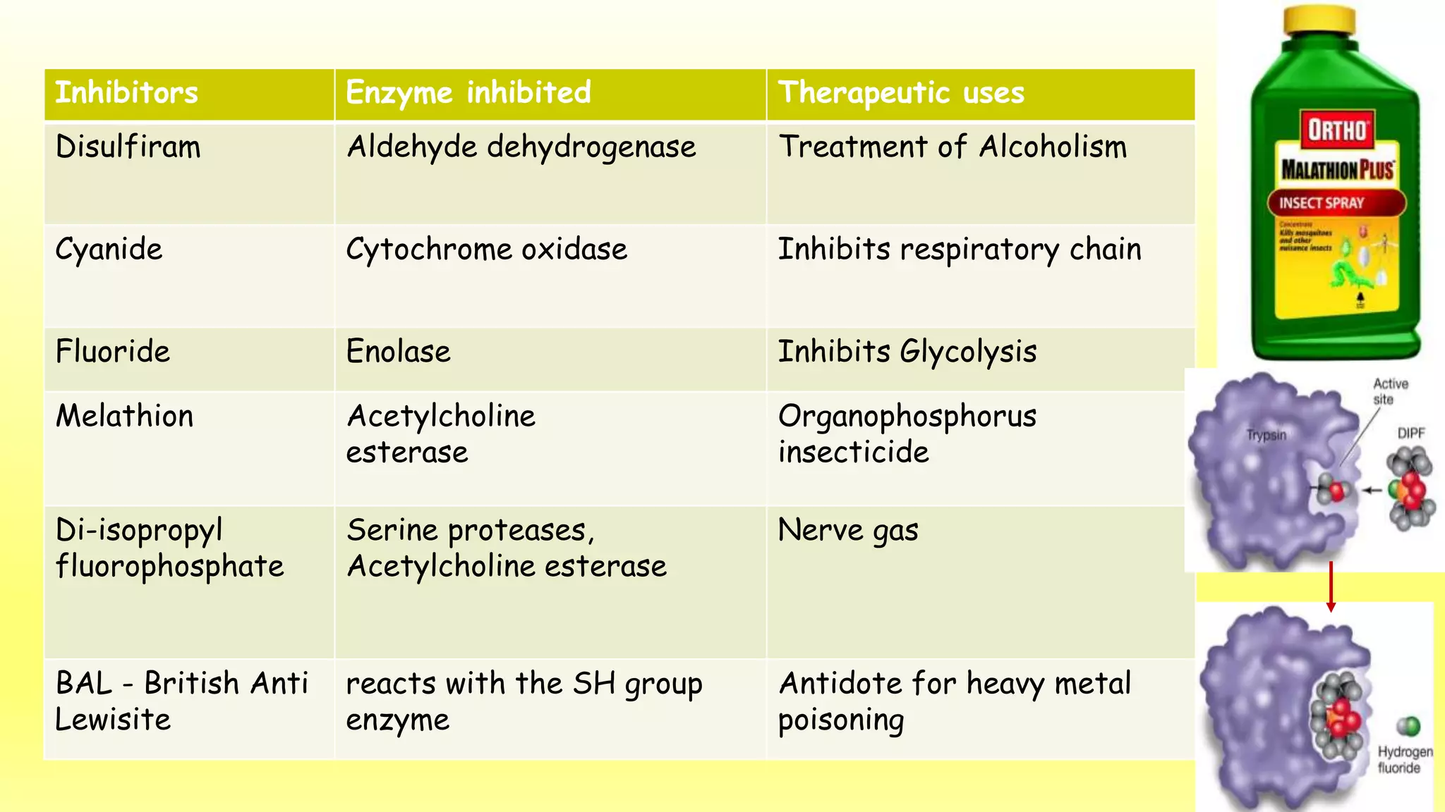 Enzyme inhibition | PPSX