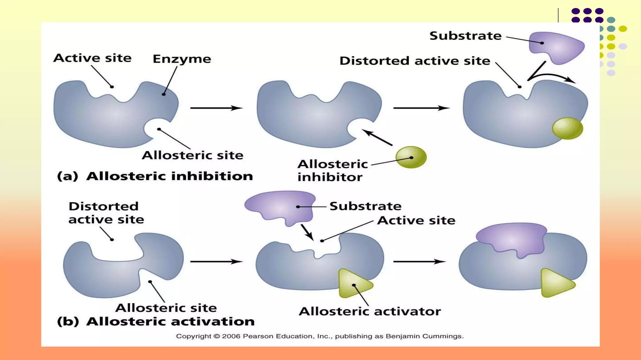 Enzyme inhibition | PPSX