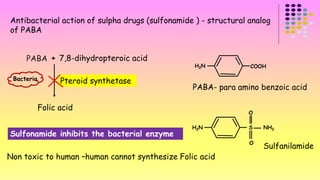 Enzyme inhibition | PPSX
