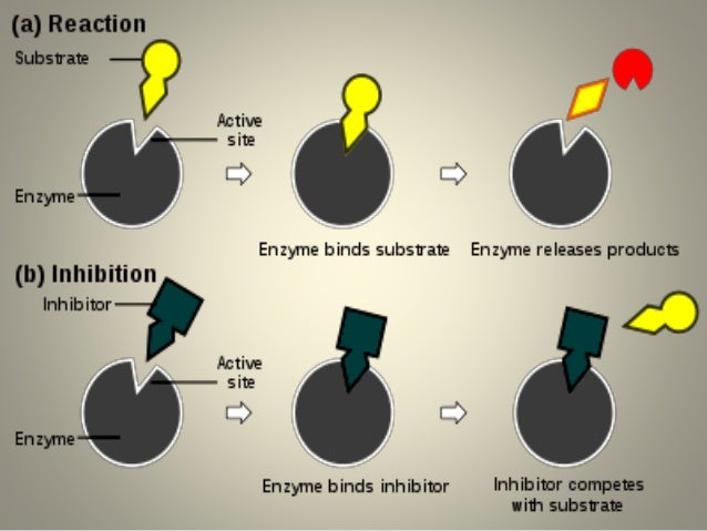 Enzyme inhibition