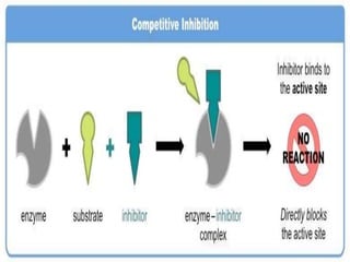 Enzyme inhibition in brief and their examples | PDF