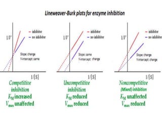 Enzyme inhibition in brief and their examples | PDF