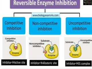 Enzyme inhibition in brief and their examples | PDF