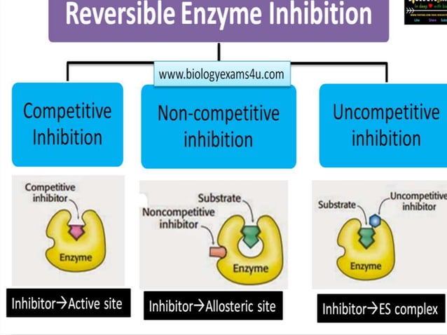 Enzyme inhibition in brief and their examples | PDF