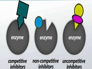 Enzyme inhibition in brief and their examples | PDF