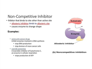 Noncompetitive Enzyme Inhibitors
