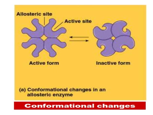 Enzyme Inhibition and Types of Reversible Enzyme Inhibitors.ppt