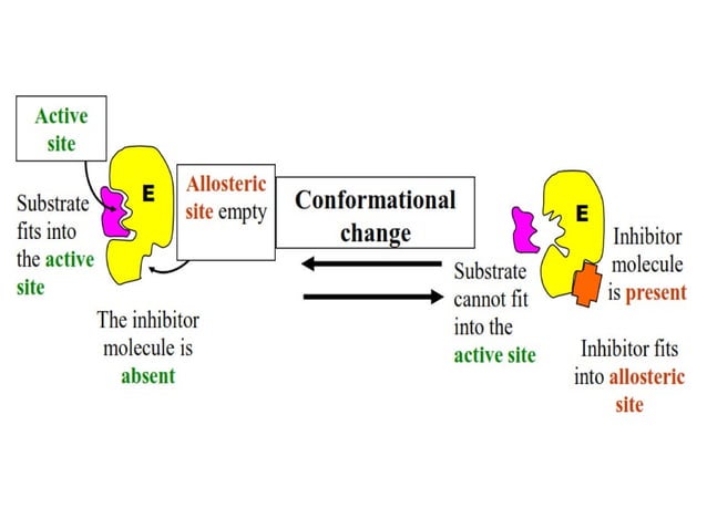 Enzyme Inhibition and Types of Reversible Enzyme Inhibitors.ppt