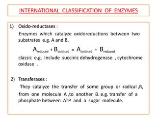 Enzyme inhibitors | PPTX