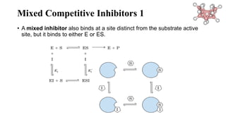 Enzyme Inhibitors BCH 601(Advanced enzymology) | PDF