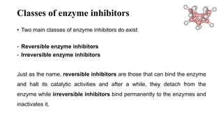 Enzyme Inhibitors BCH 601(Advanced enzymology) | PDF