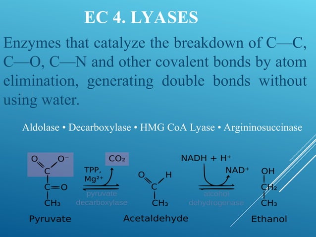 ENZYMES INTRODUCTION AND CLASSIFICATION | PPT