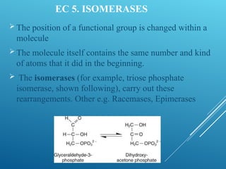 ENZYMES INTRODUCTION AND CLASSIFICATION | PPT